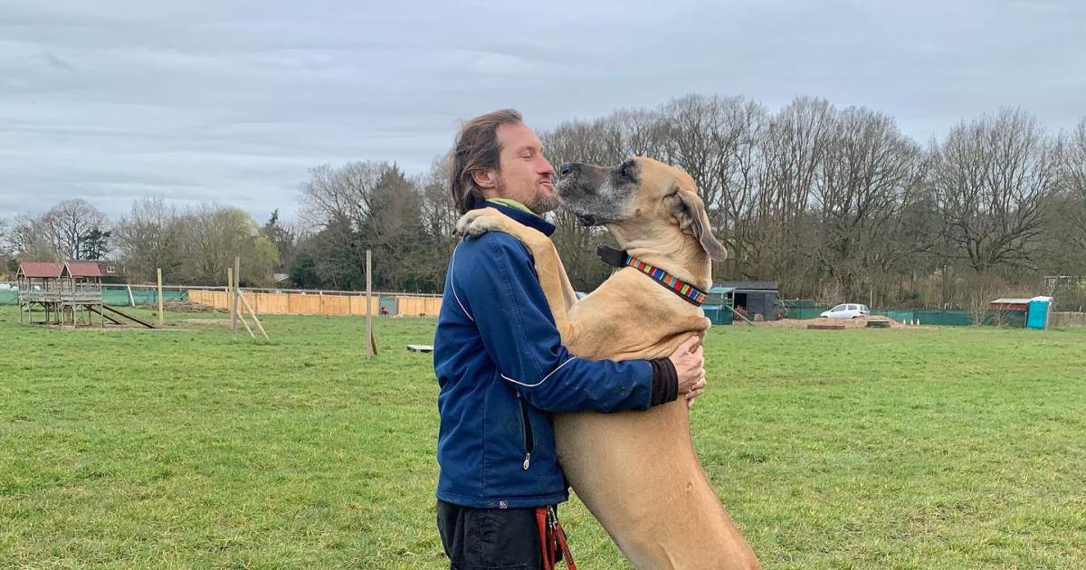 Strengthening the Bond with your Dog | Dog Stroll Day Care Wimbledon