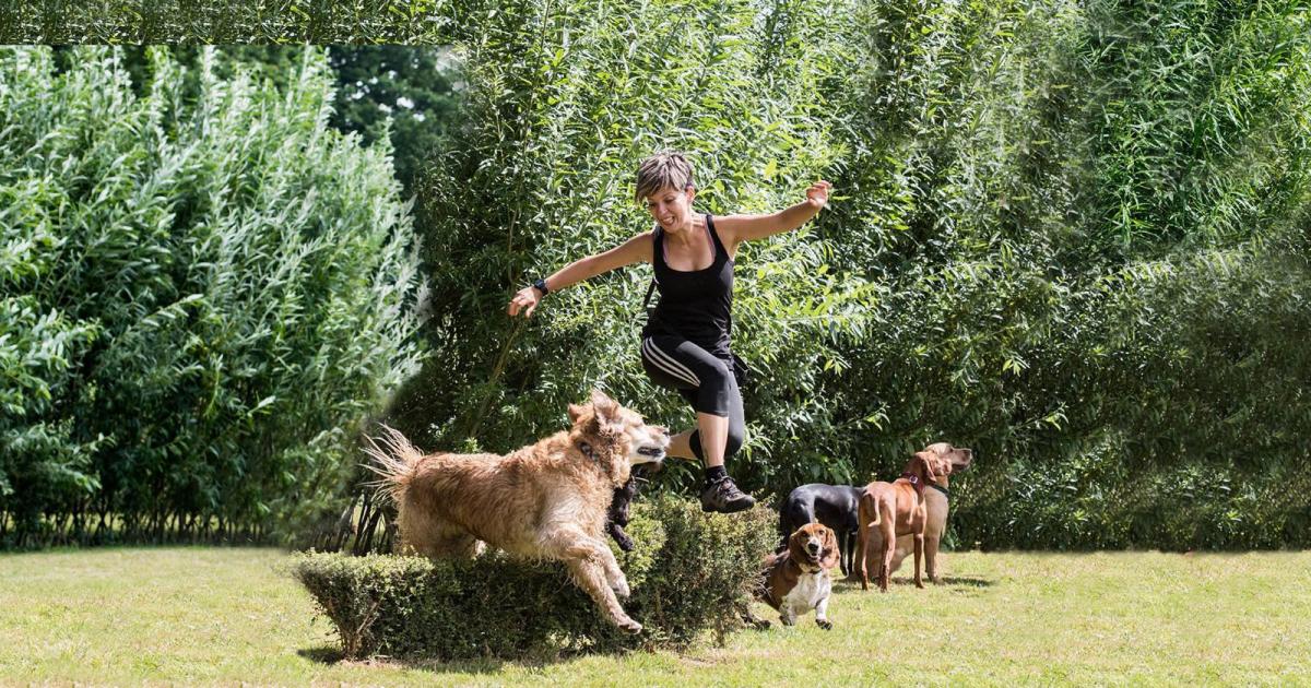Activities to do with your Dog | Dog Stroll Day Care Wimbledon